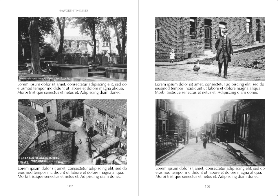 Haworth Timelines - Destinworld Publishing